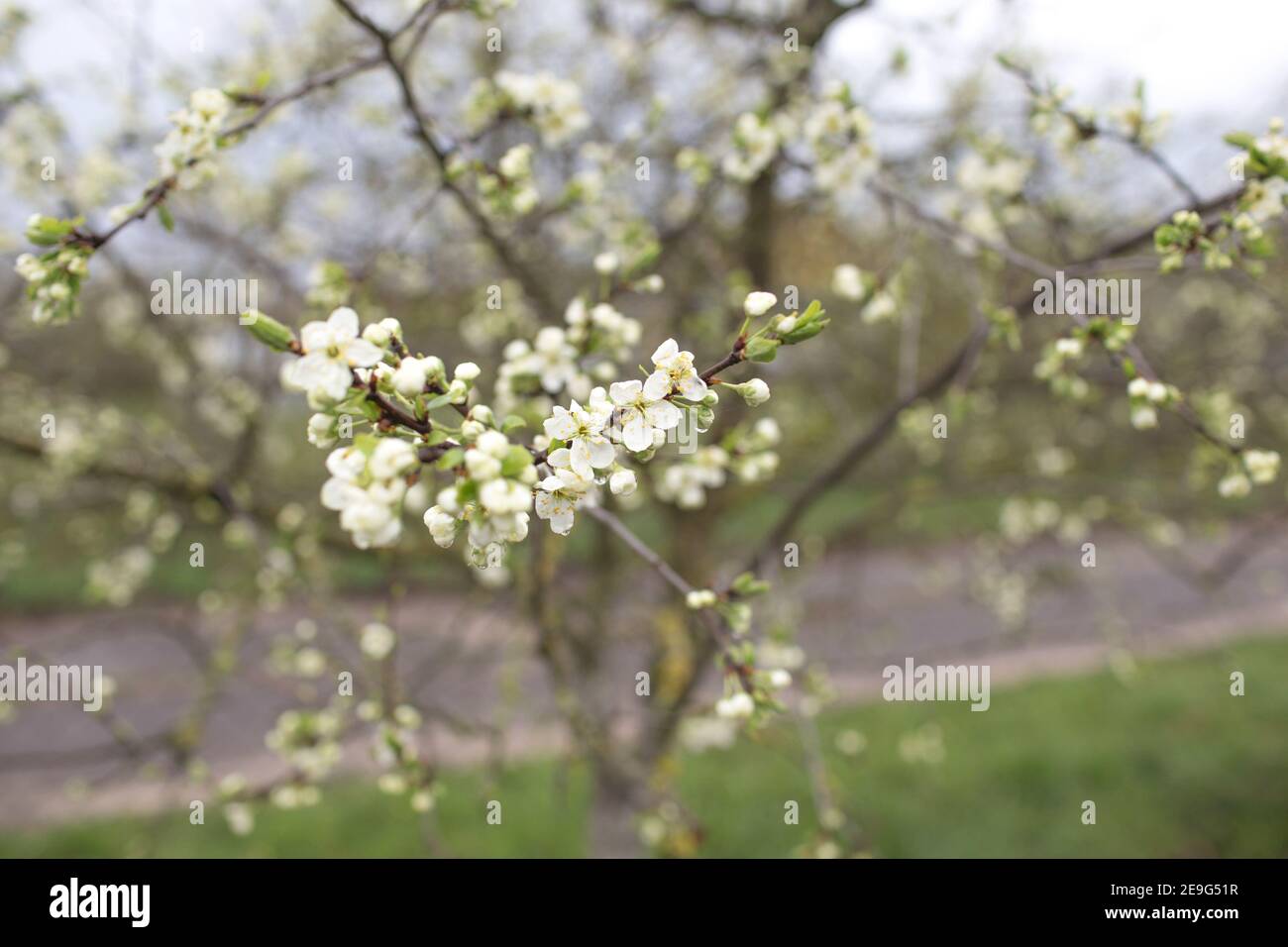 Joyous mood hi-res stock photography and images - Alamy