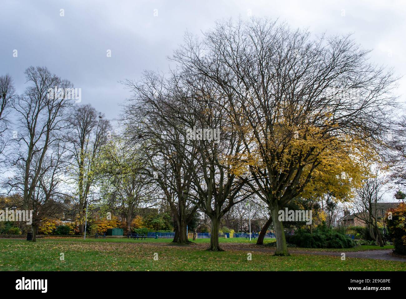 Fassnidge hi-res stock photography and images - Alamy