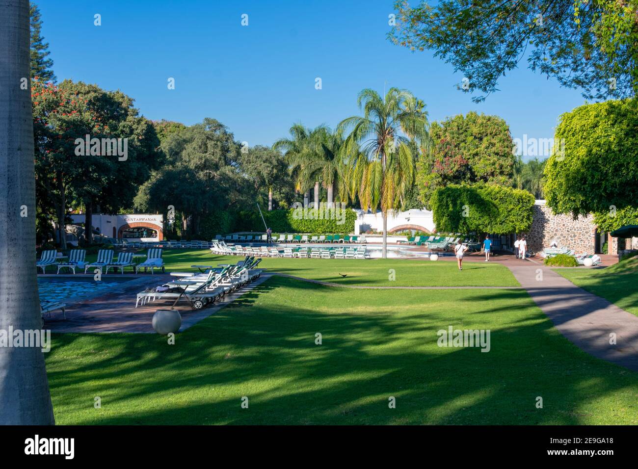 modern garden in hotel with luxurious pool in a tropical climate Stock ...