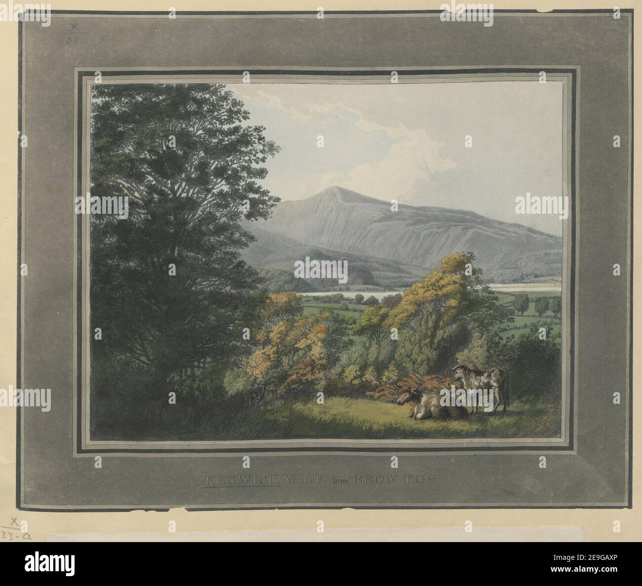 31 x 10 cm hi-res stock photography and images - Alamy