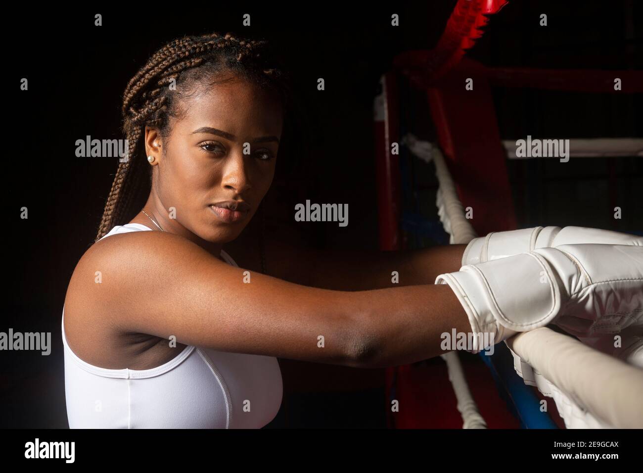 Portrait of beautiful young afro girl boxing athlete looking at camera ...