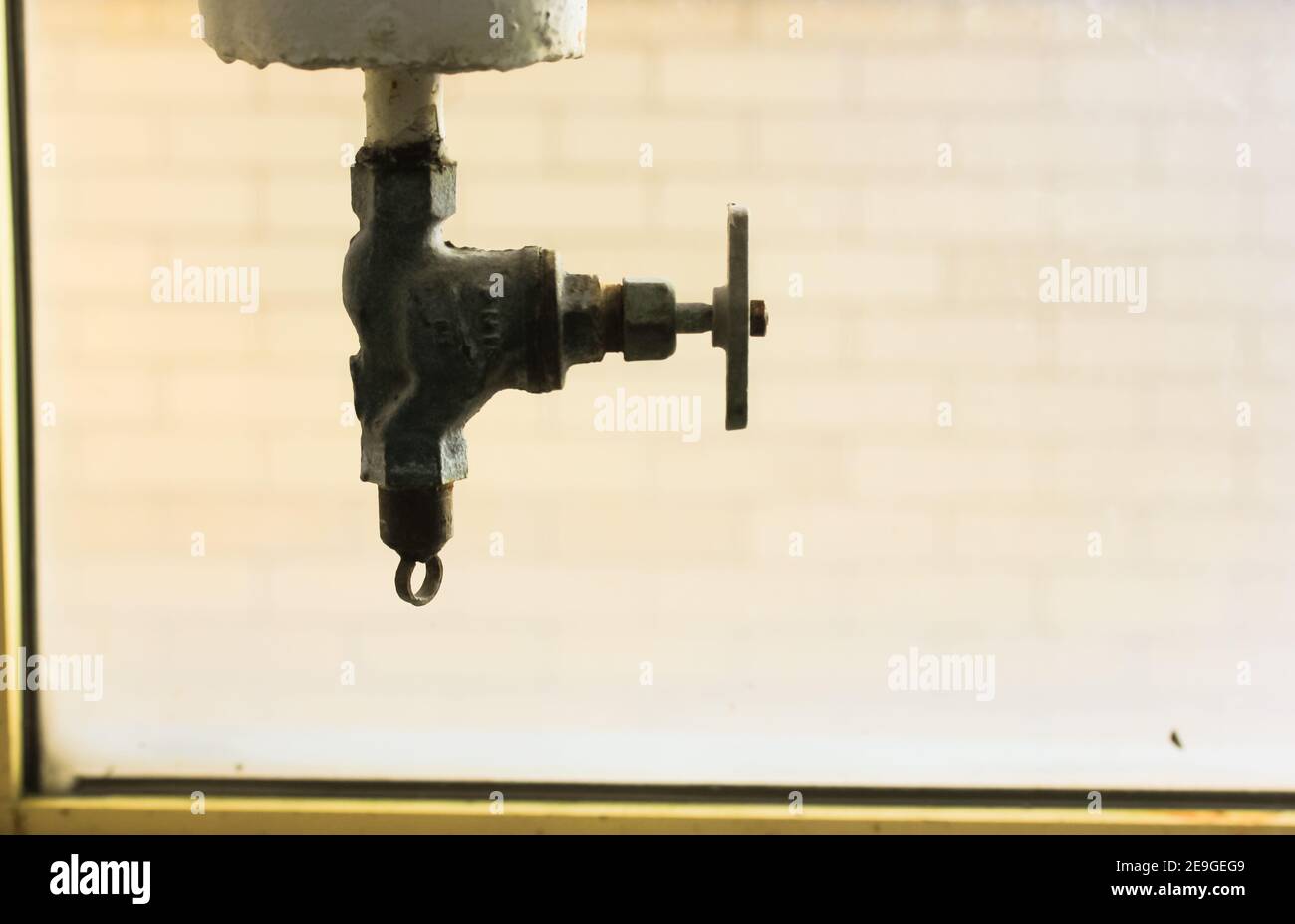 Plumbing valve and corpse close-up on a clean, warm background ...