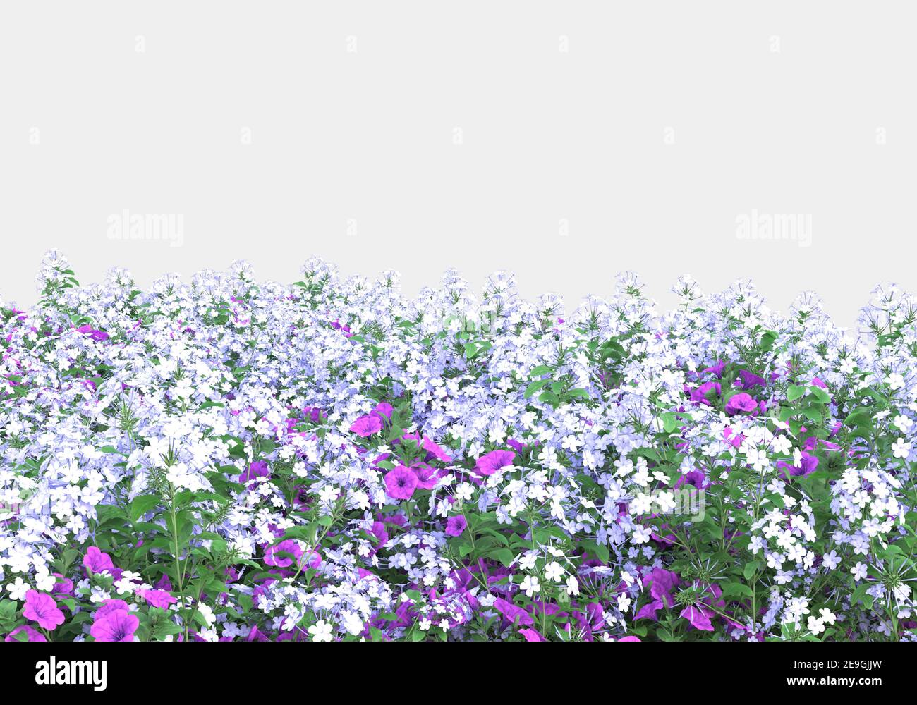 Background illustration of green field of grass with flowers. 3D ...