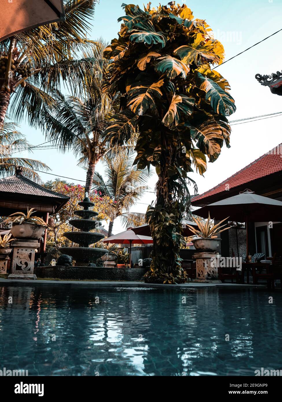 Cozy cafe with outdoor tables and umbrellas by the pool; lush palms ...
