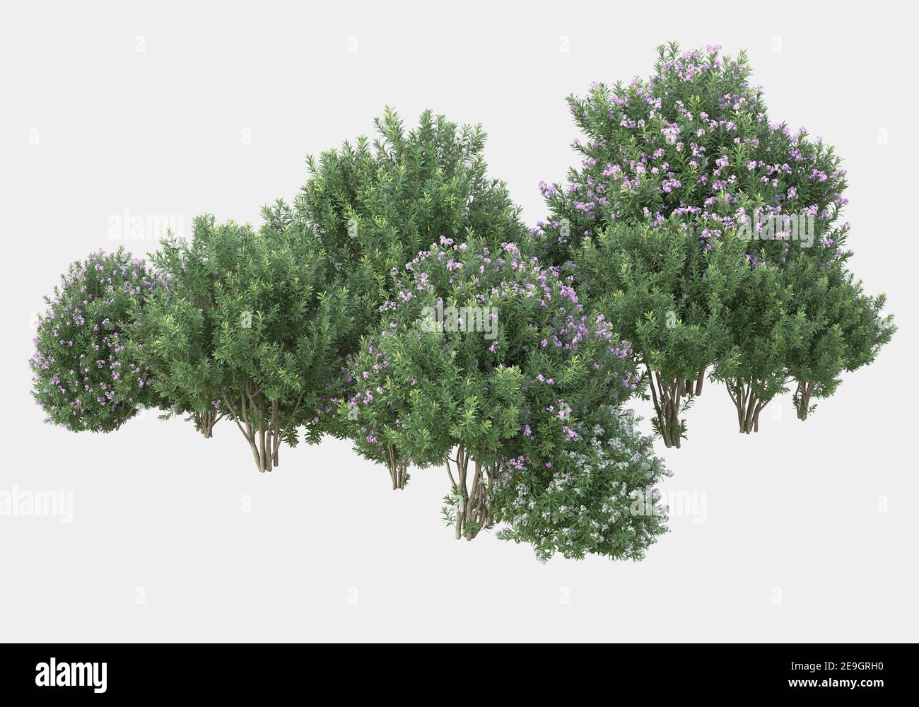 Background illustration of green field of grass with flowers. 3D ...