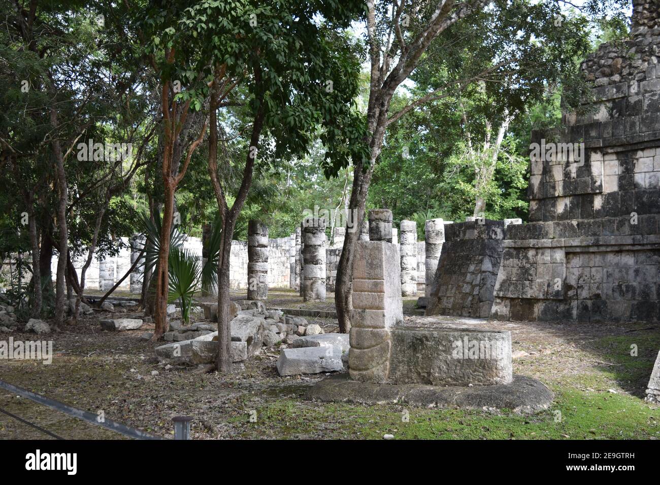 The Maya columns among the ruins and vegetation from Chichen Itza ...