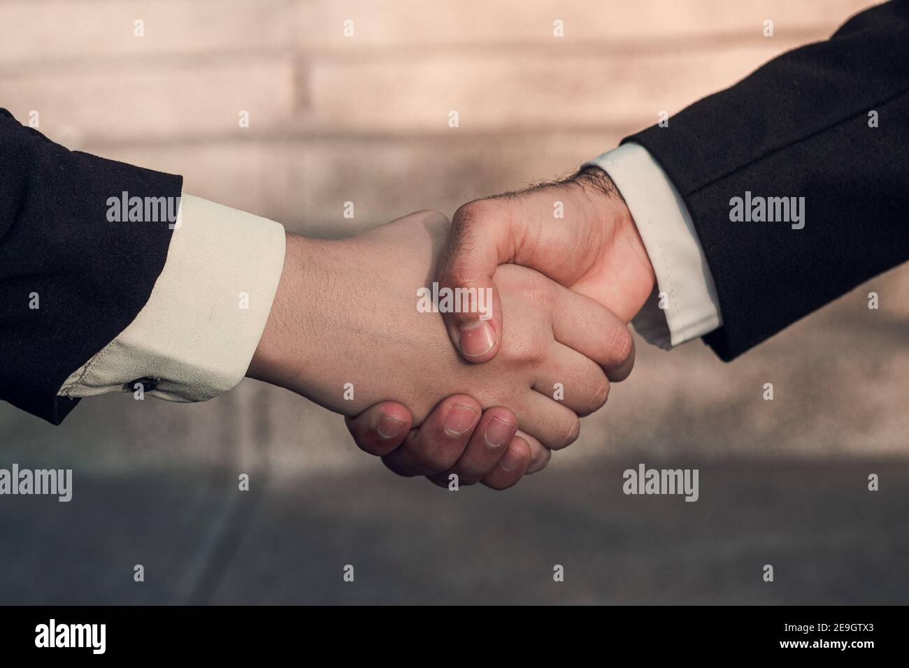 Done deal between two business people sealed with a handshake Stock ...