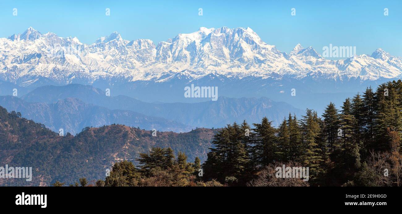 Mount Chaukhamba and woodland, Himalaya, panoramic view of Indian Himalayas, great Himalayan ...