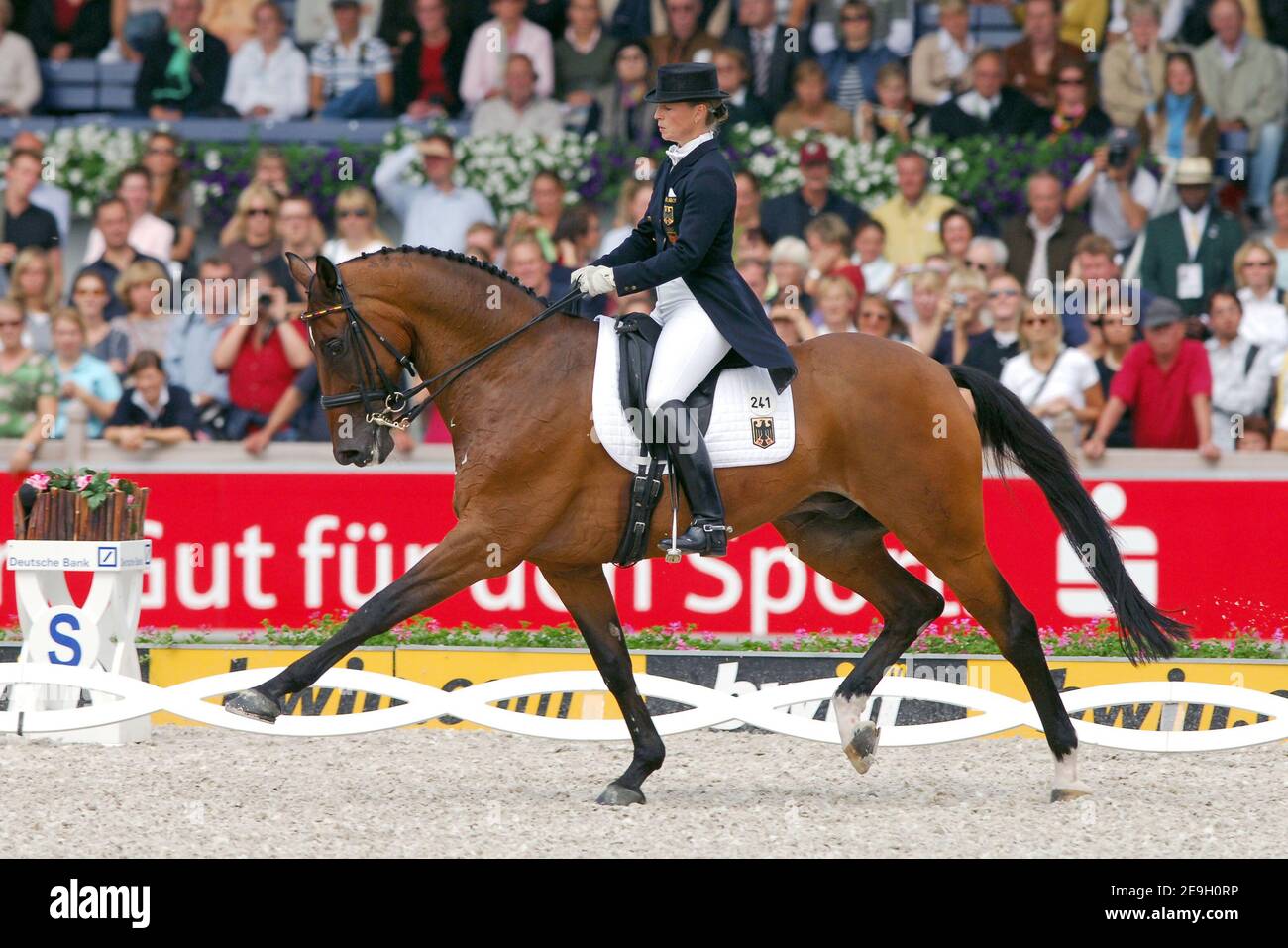 German equestrian dressage horse rider hi-res stock photography and ...