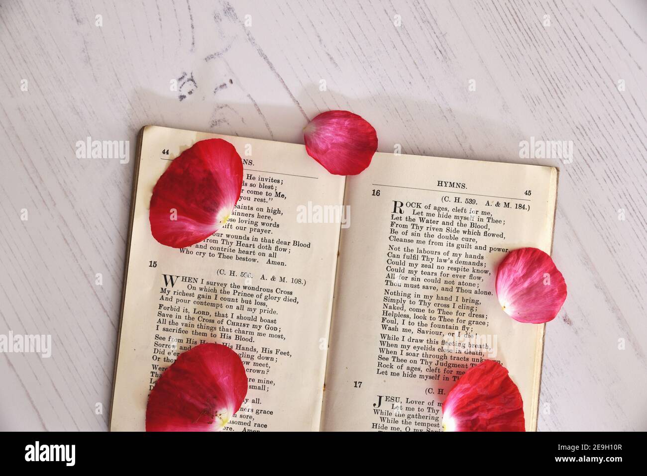 Poppy petals hi-res stock photography and images - Alamy