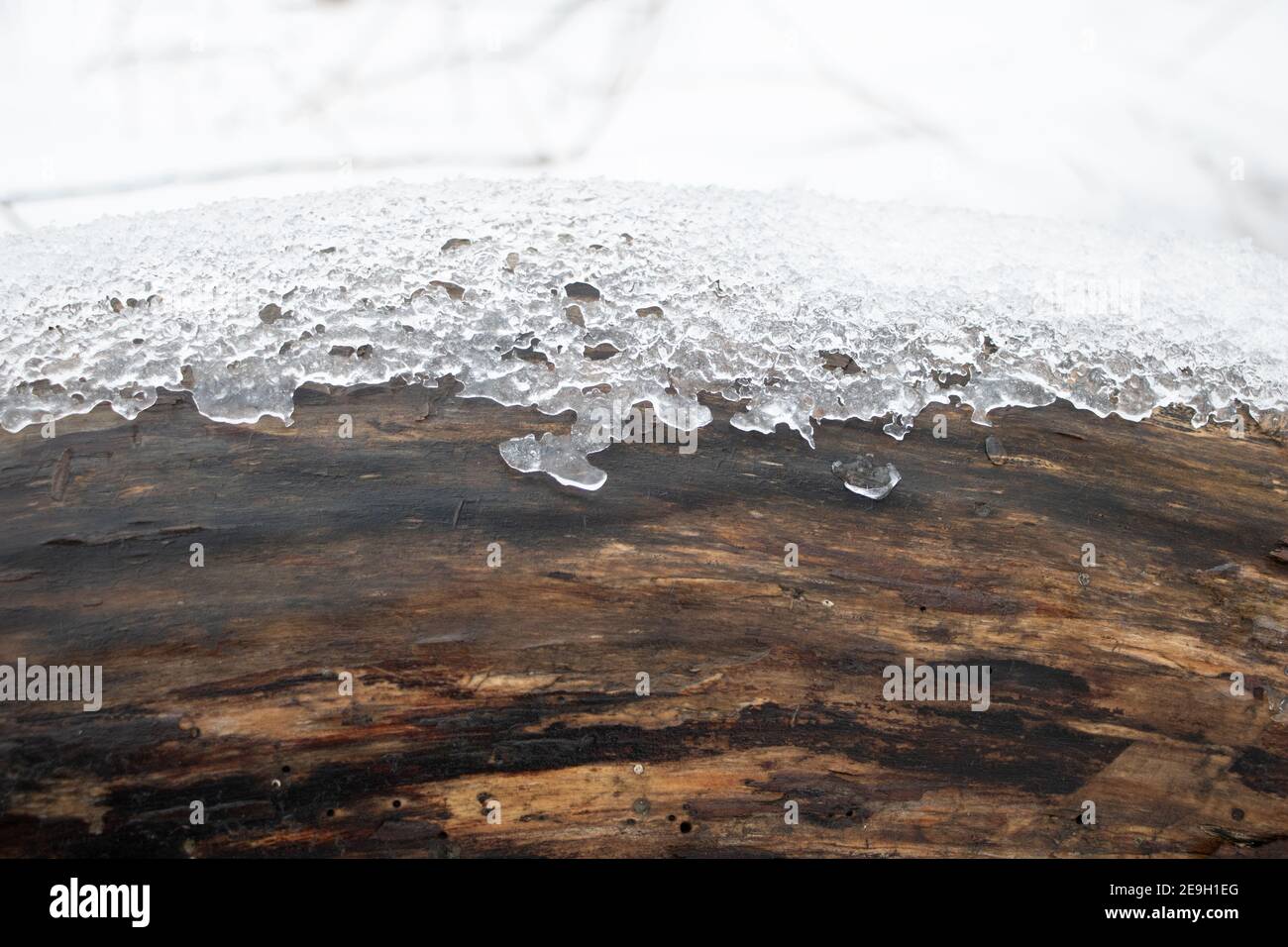Melted snow on some wood - winter concept Stock Photo - Alamy