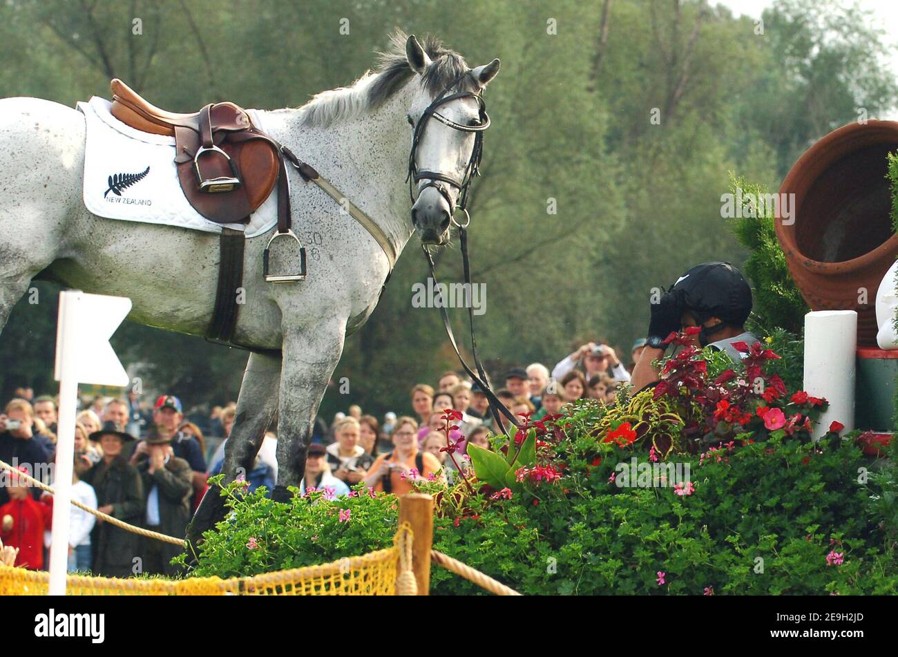 New Zealand's Alex de Luca on his horse 'Clifton Checkers' during the ...