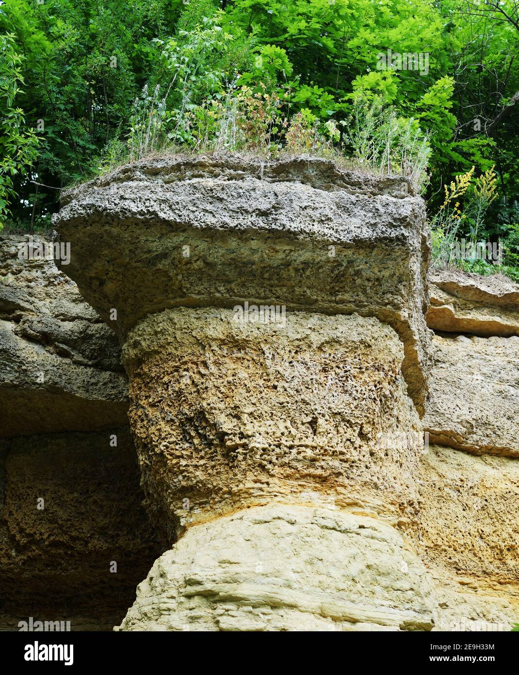 Limestone cliff on the left bank of the river Orlik. Stone, rock ...