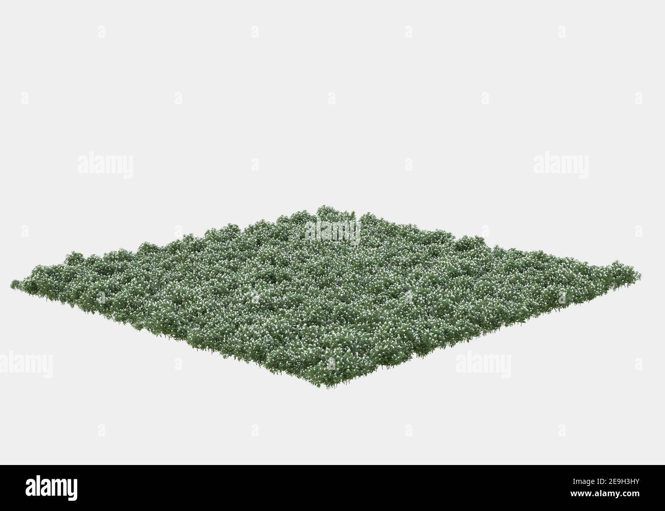Background illustration of green field of grass with flowers. 3D ...