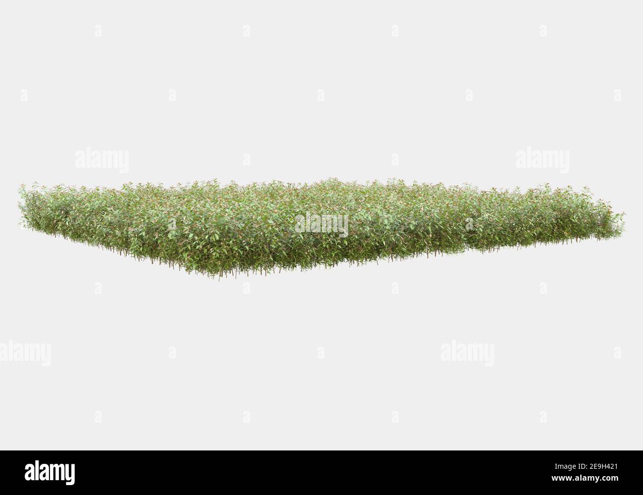 Background illustration of green field of grass with flowers. 3D ...