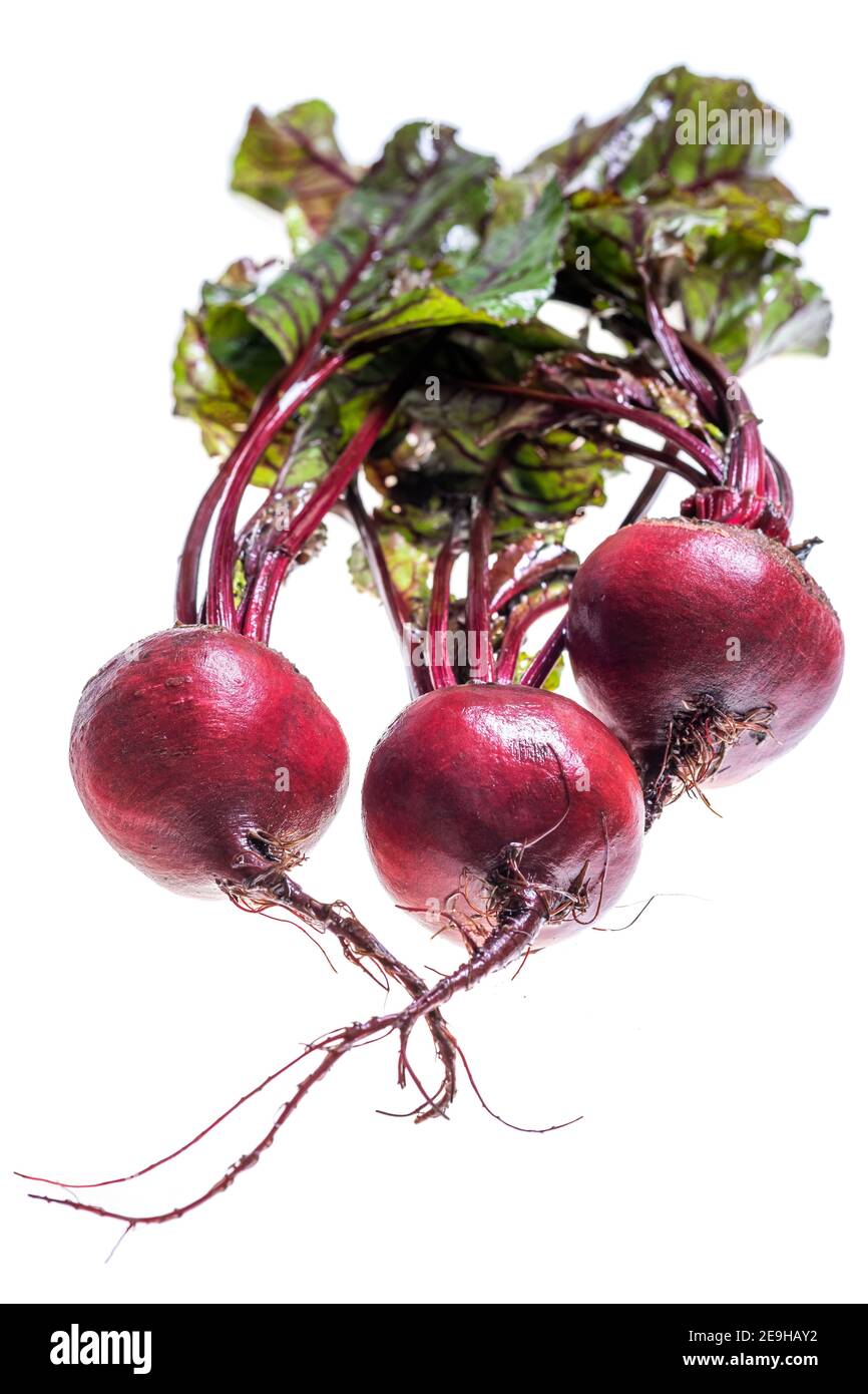 Bunch of fresh beets with leaves isolated on white Stock Photo - Alamy