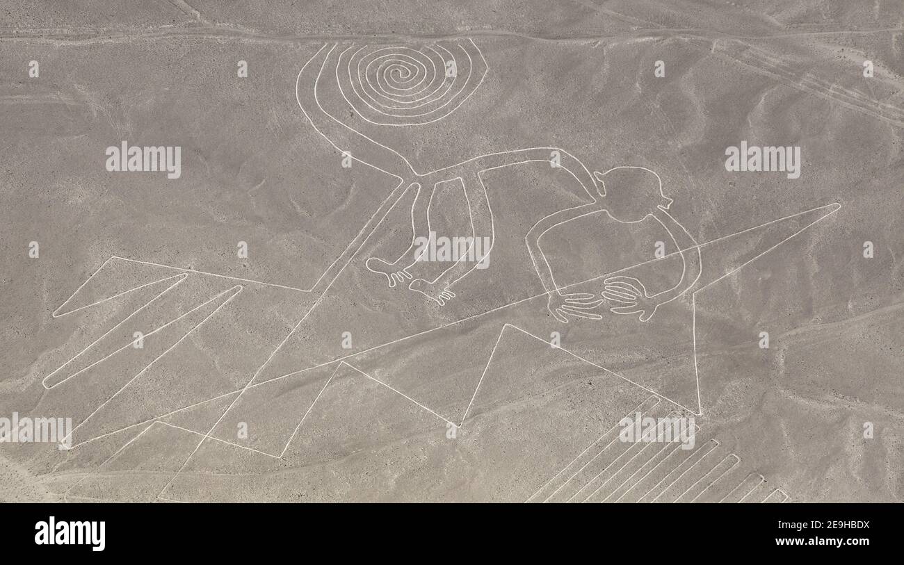 Nazca Monkey Tattoos