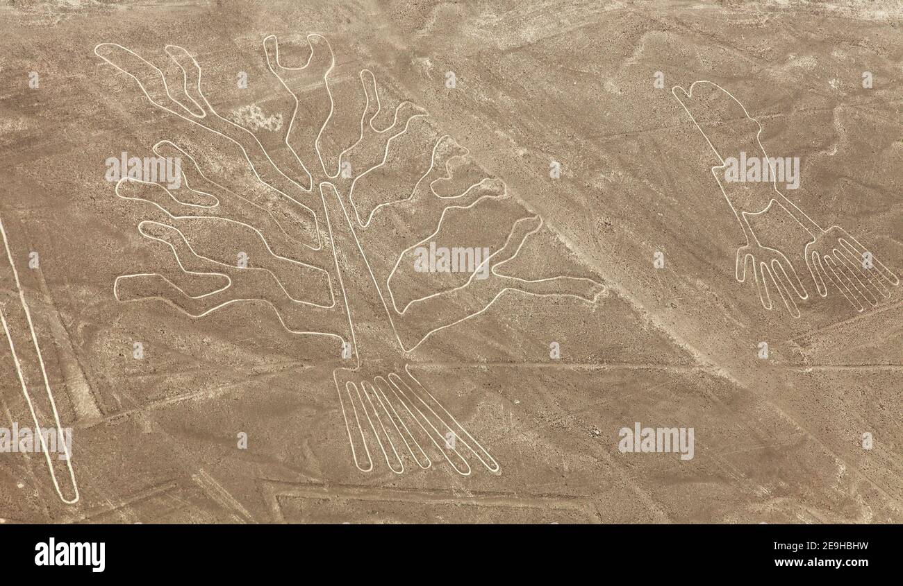 Tree and hands geoglyphs, Nazca or Nasca mysterious lines and geoglyphs ...