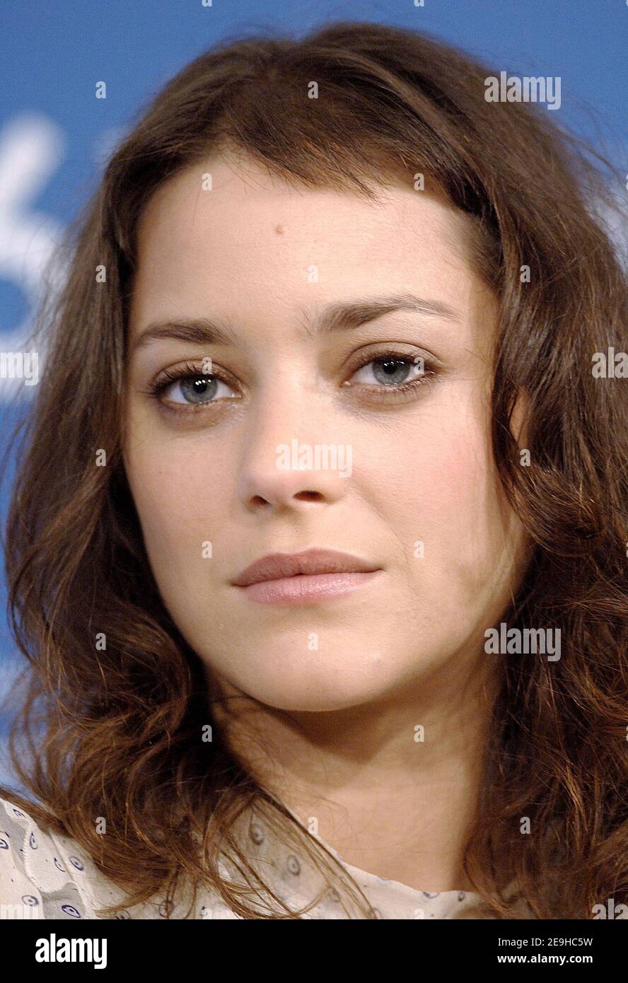 Actress Marion Cotillard attends 'A good Year' press conference during ...