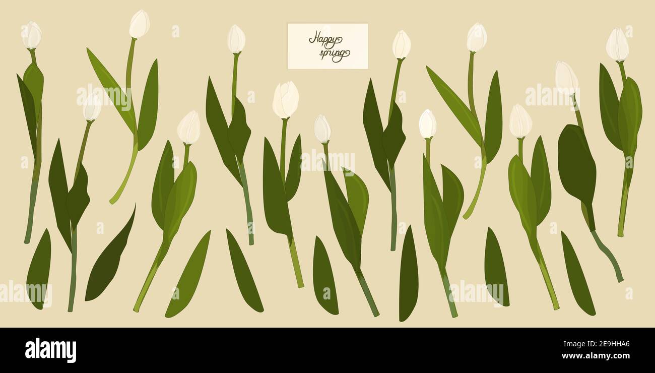 Vector cartoon Happy Spring lettering text on the card. Isolated ...