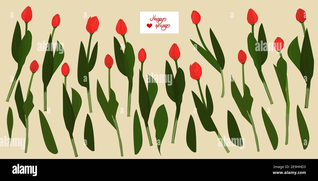 Vector cute red Happy Spring lettering text on the white card. Isolated ...