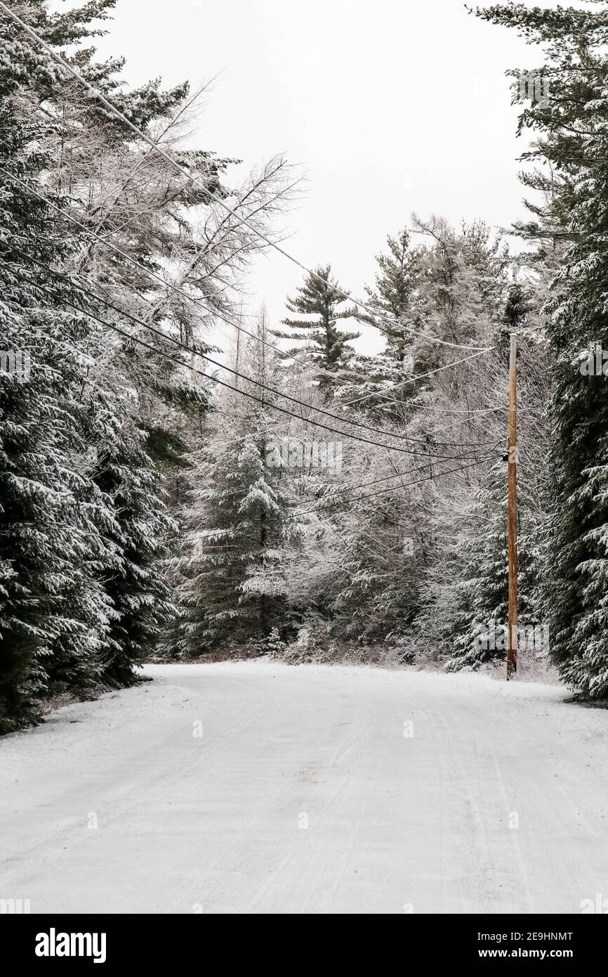 Snow Laden Path Through The Forest, New Hampshire, USA Stock Photo - Alamy