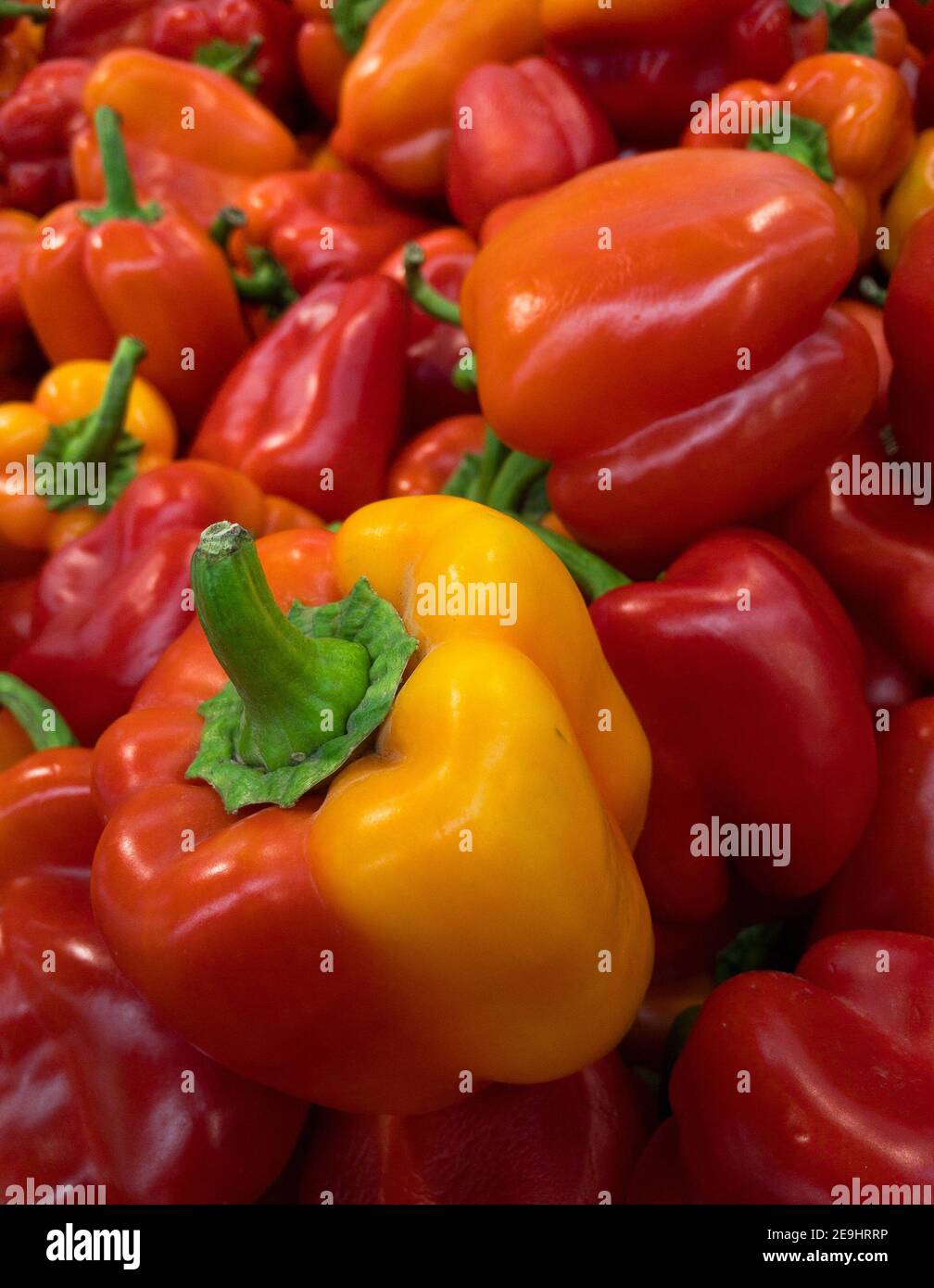 fresh raw sweet red bell peppers close up Stock Photo - Alamy
