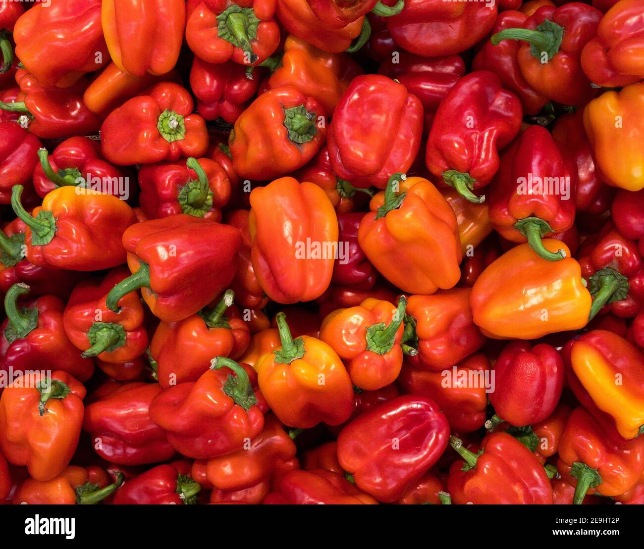 Pepper gradient hi-res stock photography and images - Alamy