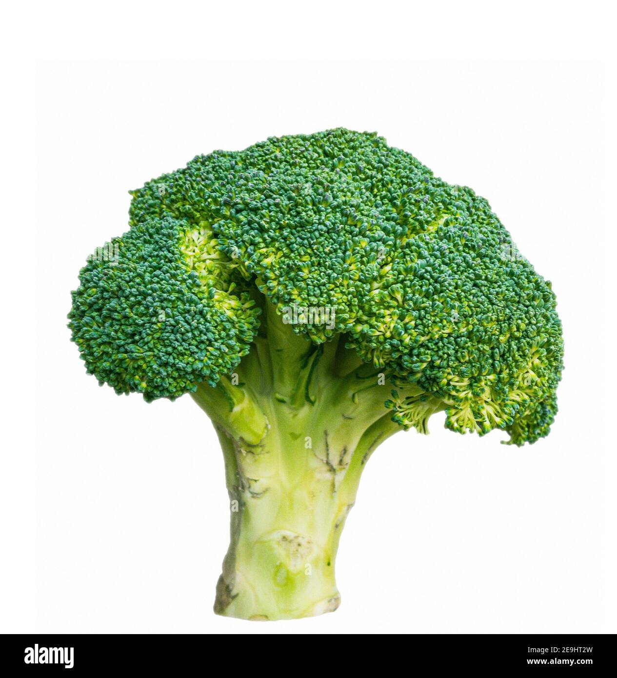Broccoli tree hi-res stock photography and images - Alamy