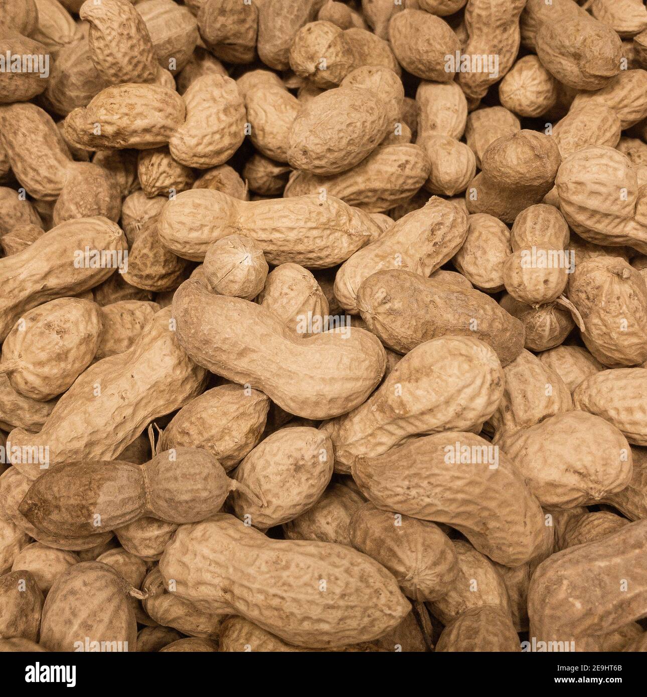 Cashew Nut Shell High Resolution Stock Photography and Images - Alamy