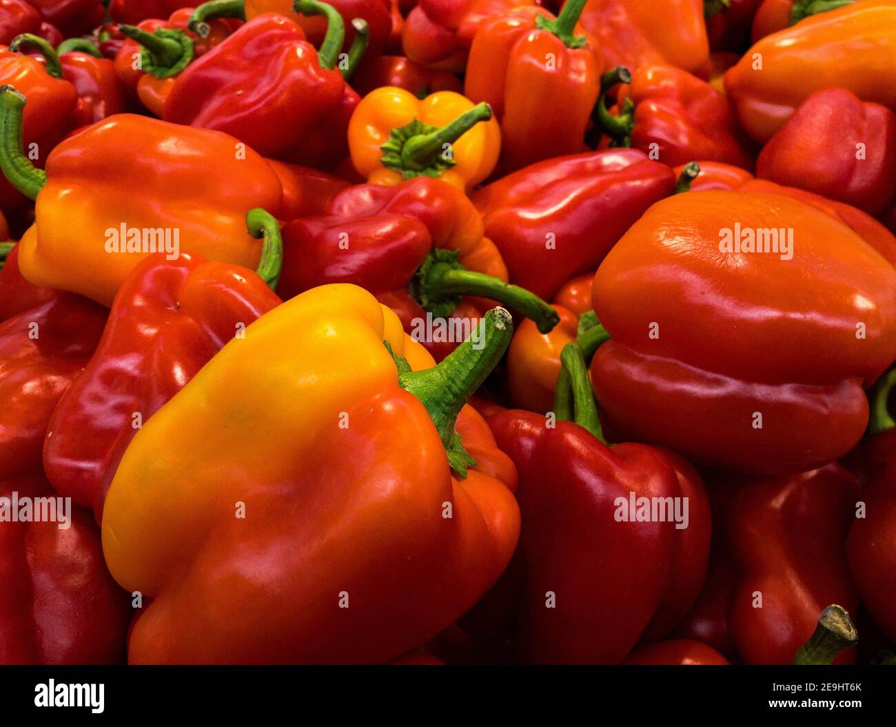 Pepper gradient hi-res stock photography and images - Alamy