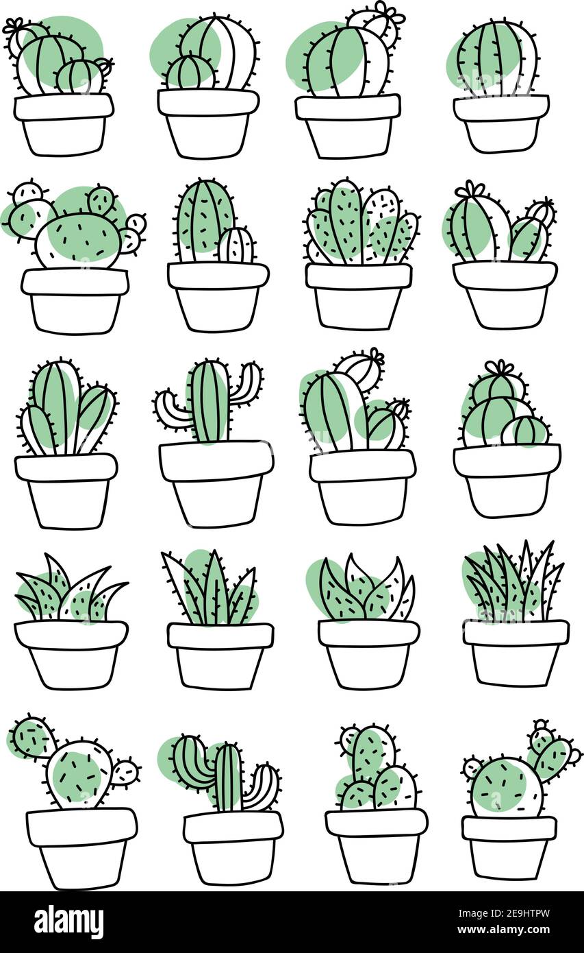 Succulents in the garden Stock Vector Images - Alamy