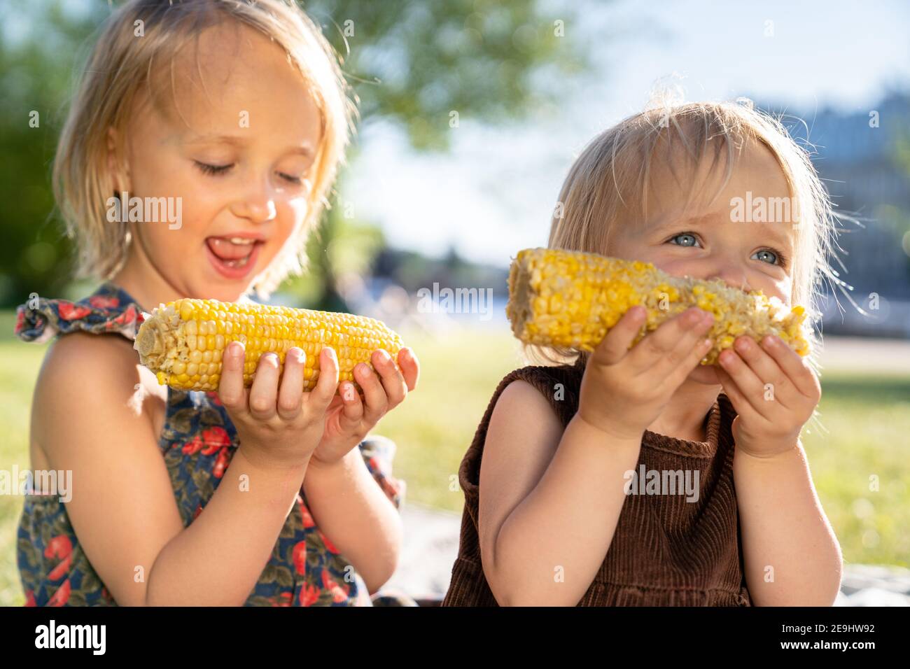 Two happy little childs girls sisters eat sweet corn cob at summer day ...