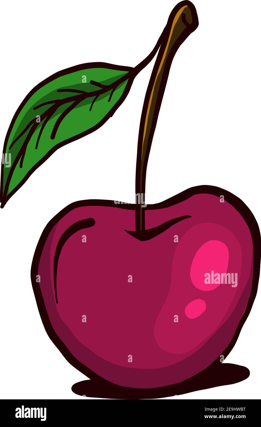 Pink cherry blossom on Stock Vector Images - Alamy