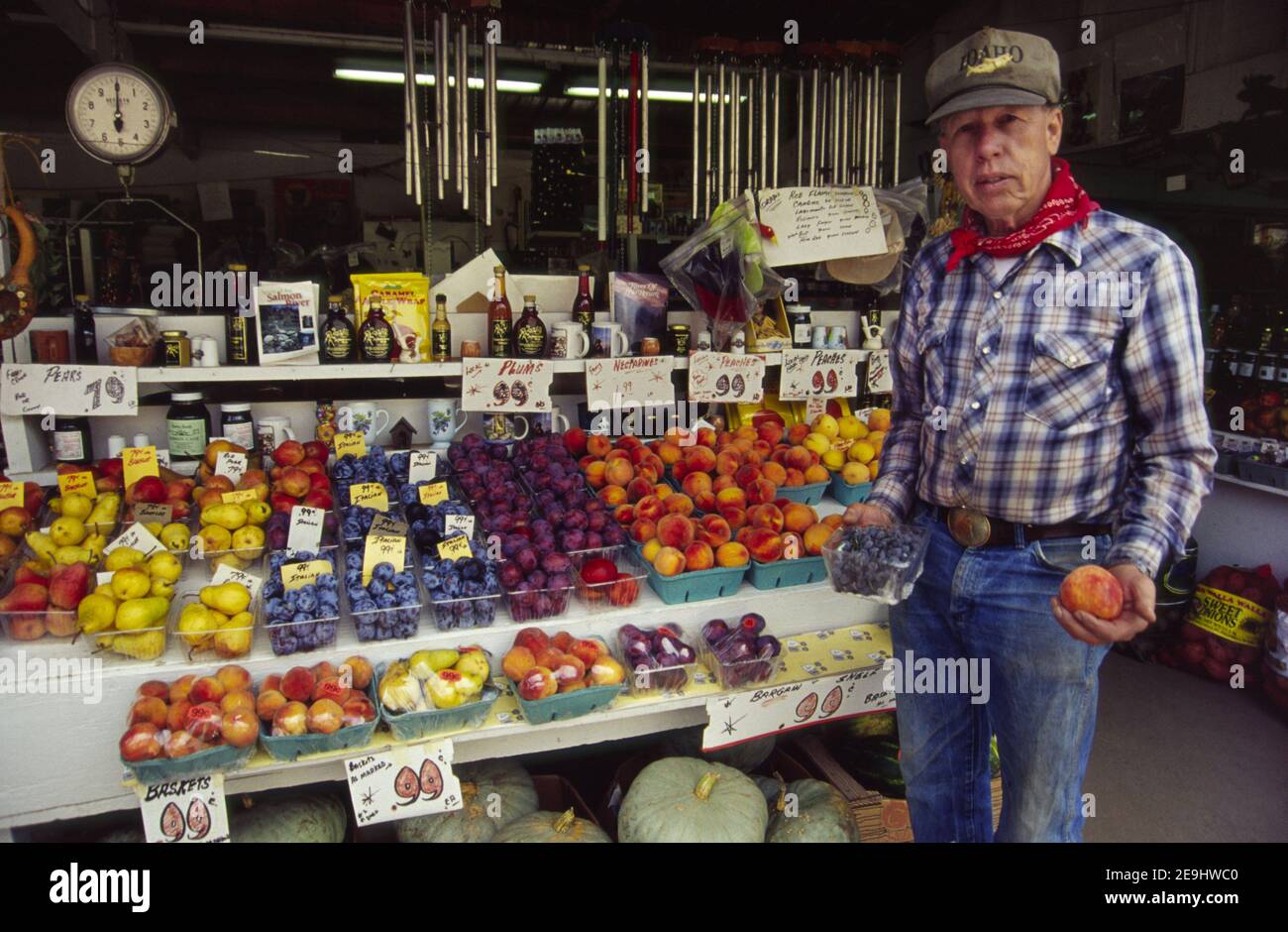 Autumn harvest at the iconic Fiddle Creek Fruit Stand along Highway 95 ...