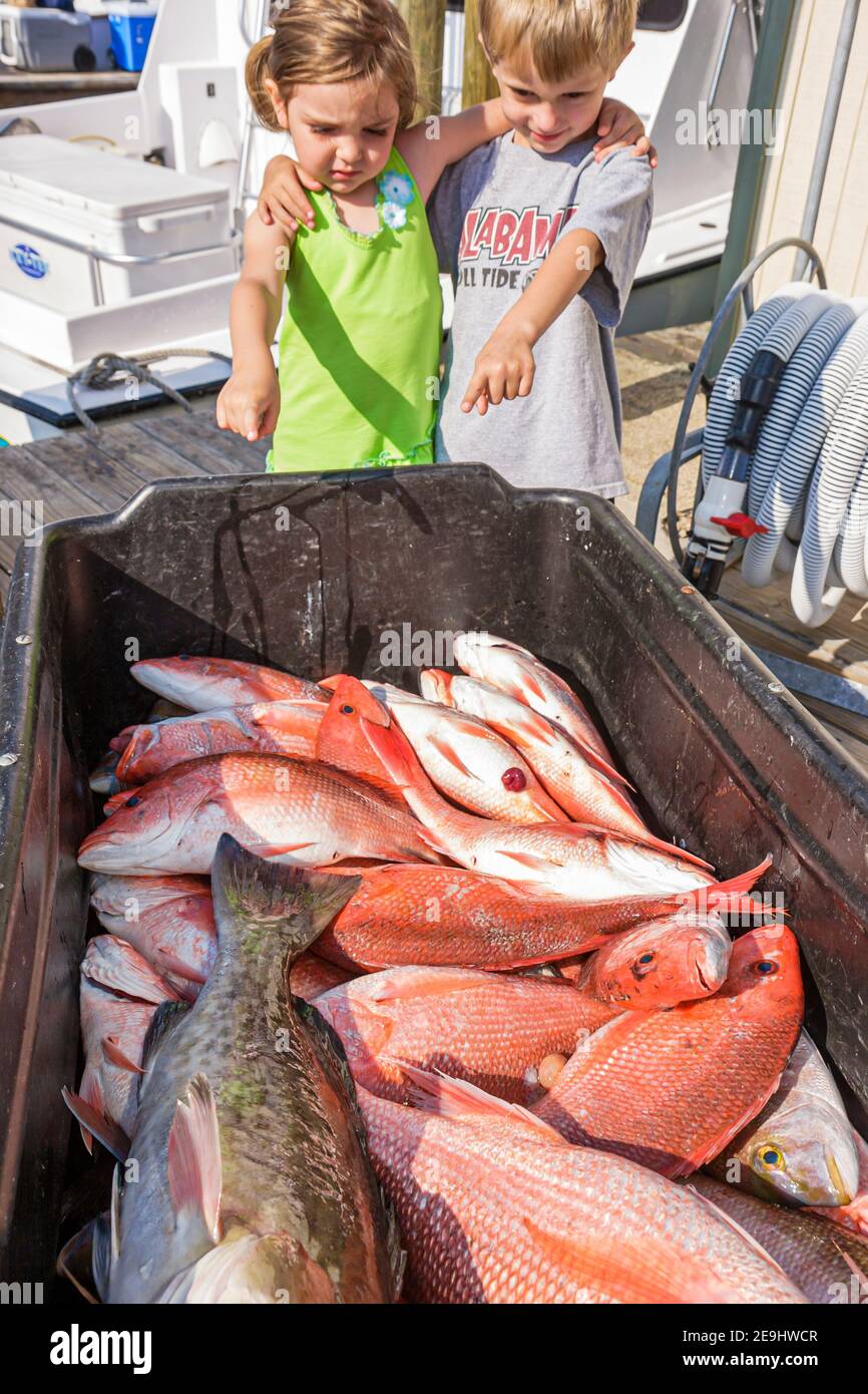 Alabama Orange Beach Zeke's Landing Red Snapper Tournament,boy girl ...