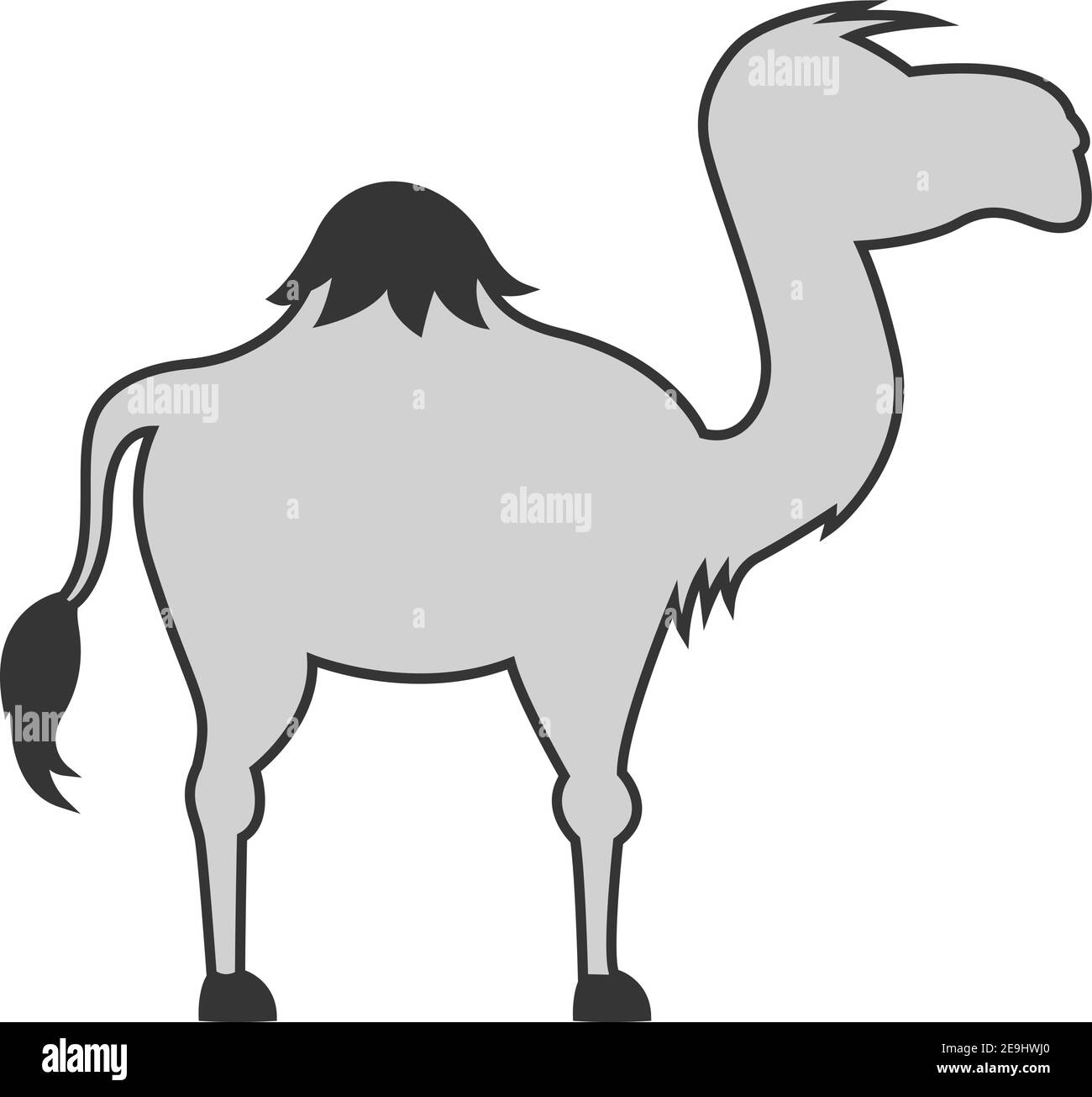Grey camel, illustration, vector on white background Stock Vector Image ...