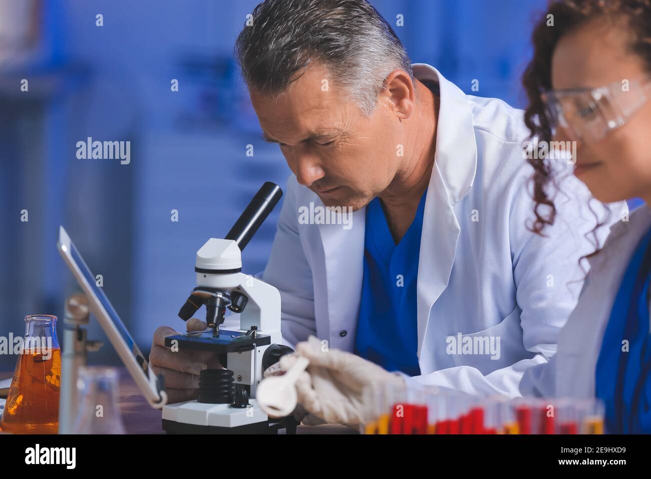 Scientists working with samples in laboratory Stock Photo - Alamy