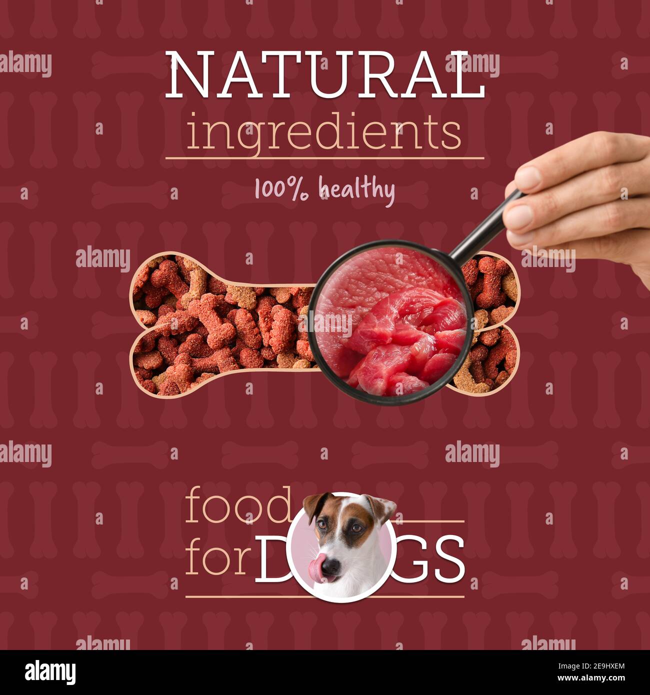 Advertisement banner for dry natural pet food Stock Photo - Alamy