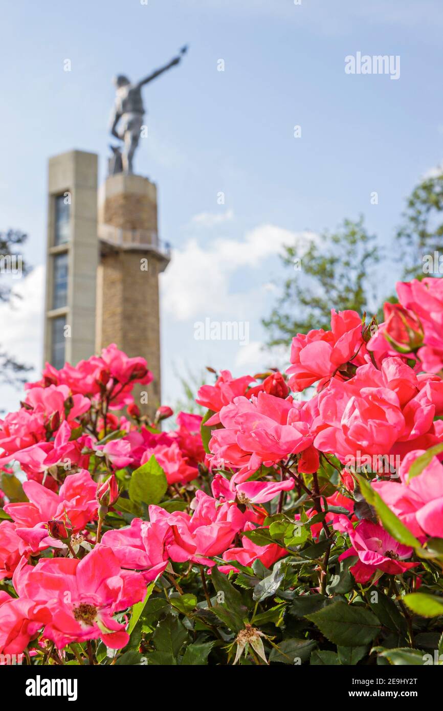 Vulcan park roses statue tower observatory hi-res stock photography and ...