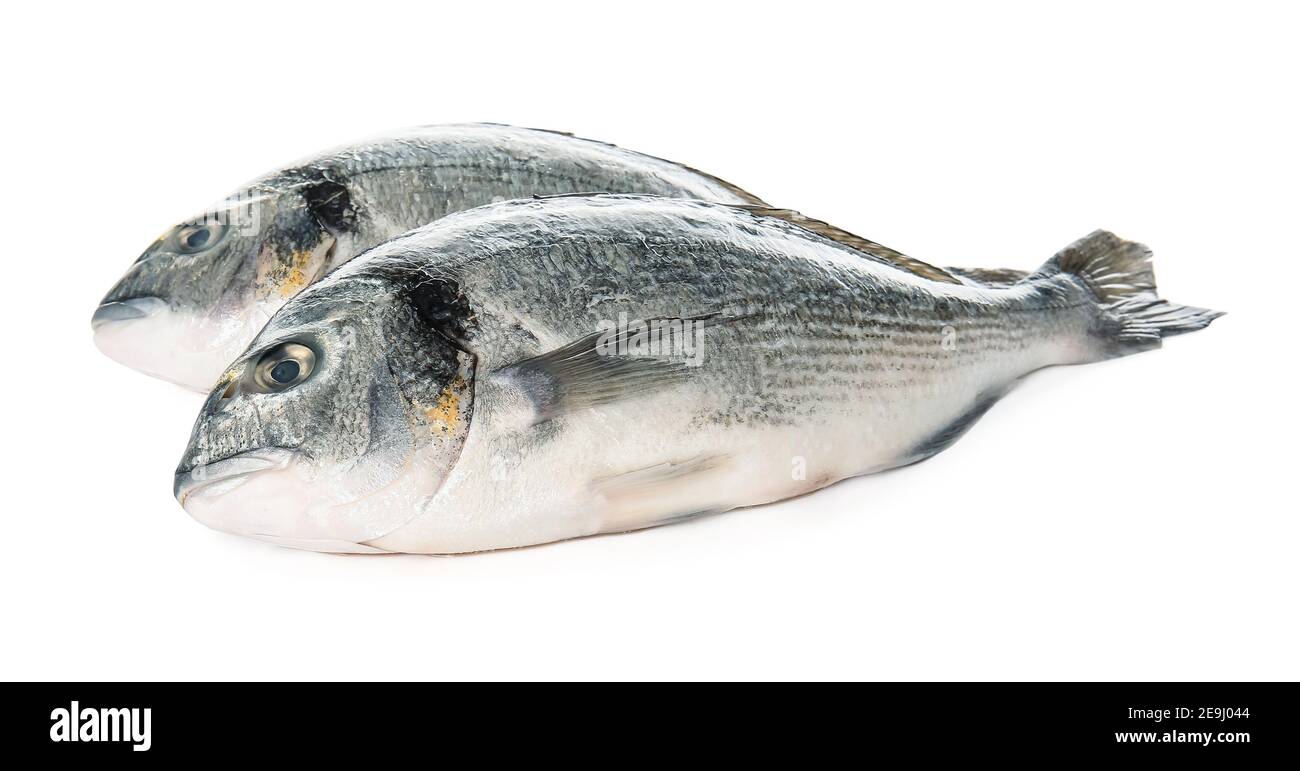 Raw dorado fish on white background Stock Photo - Alamy