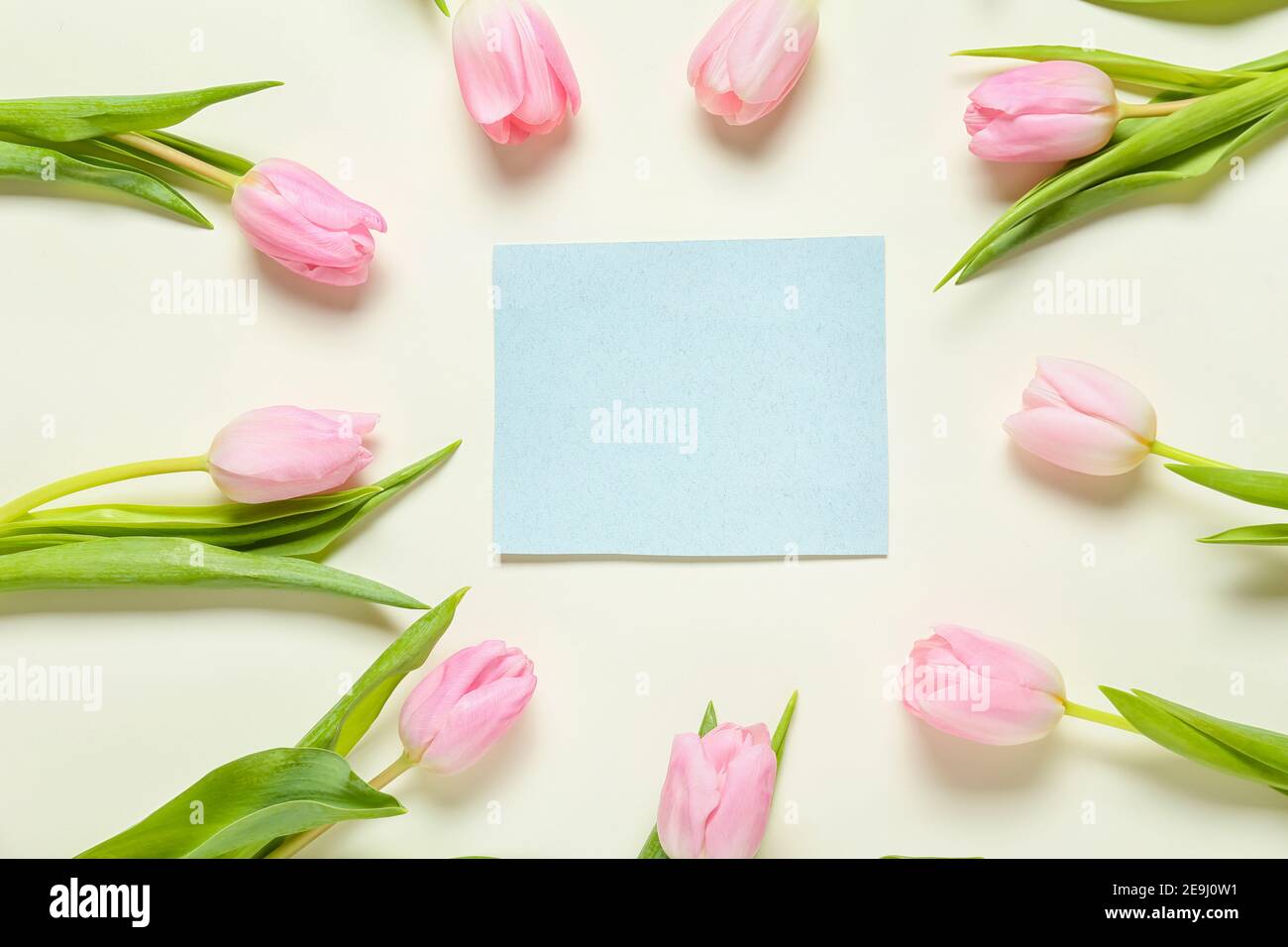Beautiful flowers and empty card on white background Stock Photo - Alamy
