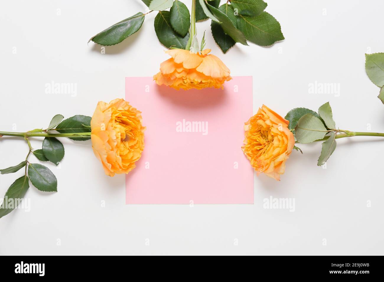 Beautiful flowers and empty card on white background Stock Photo - Alamy