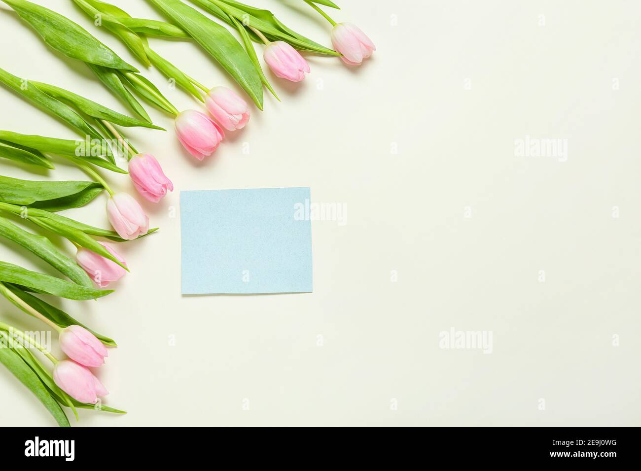 Beautiful flowers and empty card on white background Stock Photo - Alamy