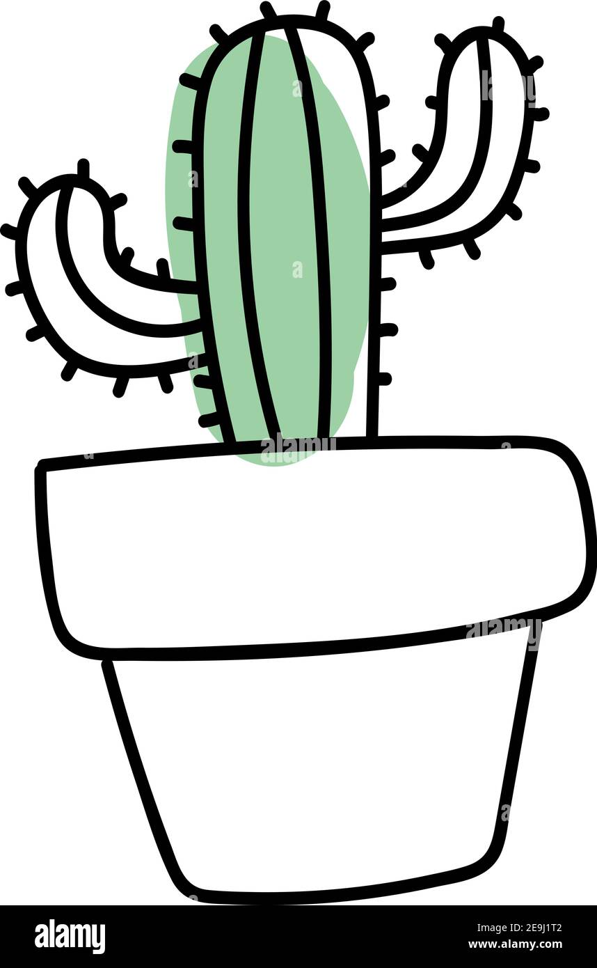 Classic cactus, illustration, vector on white background Stock Vector ...