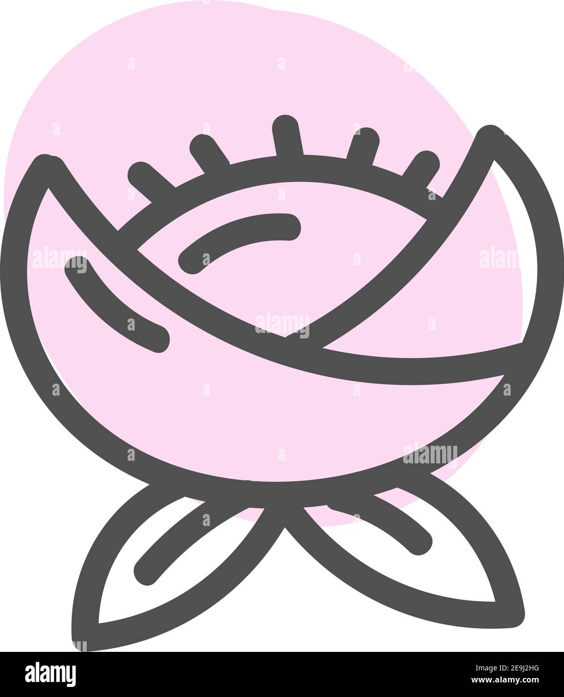 Pink gentle flower, illustration, vector on white background Stock ...