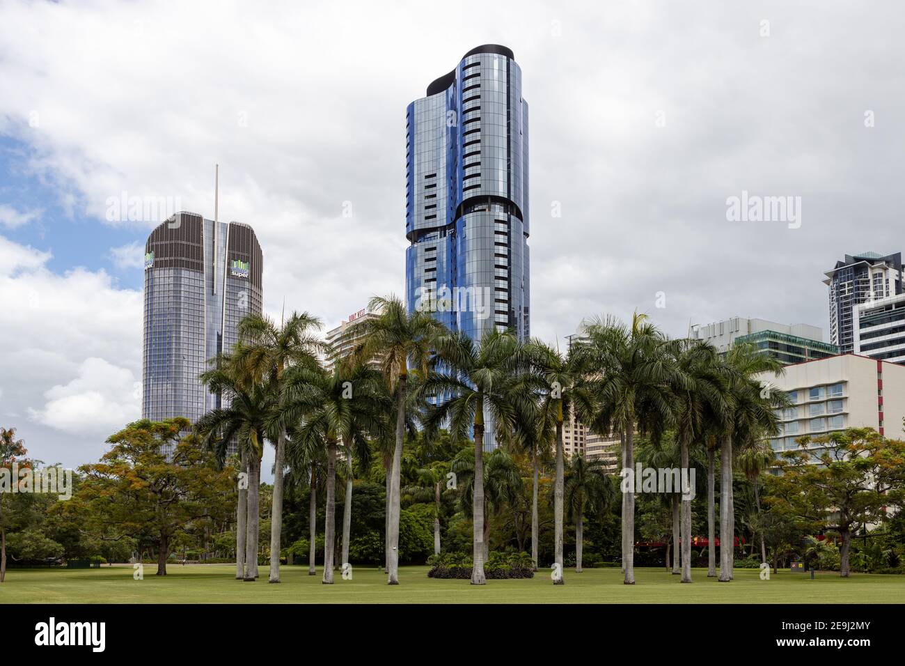 The iconic Brisbane Cityscape taken in the Botanic Gardens along the ...