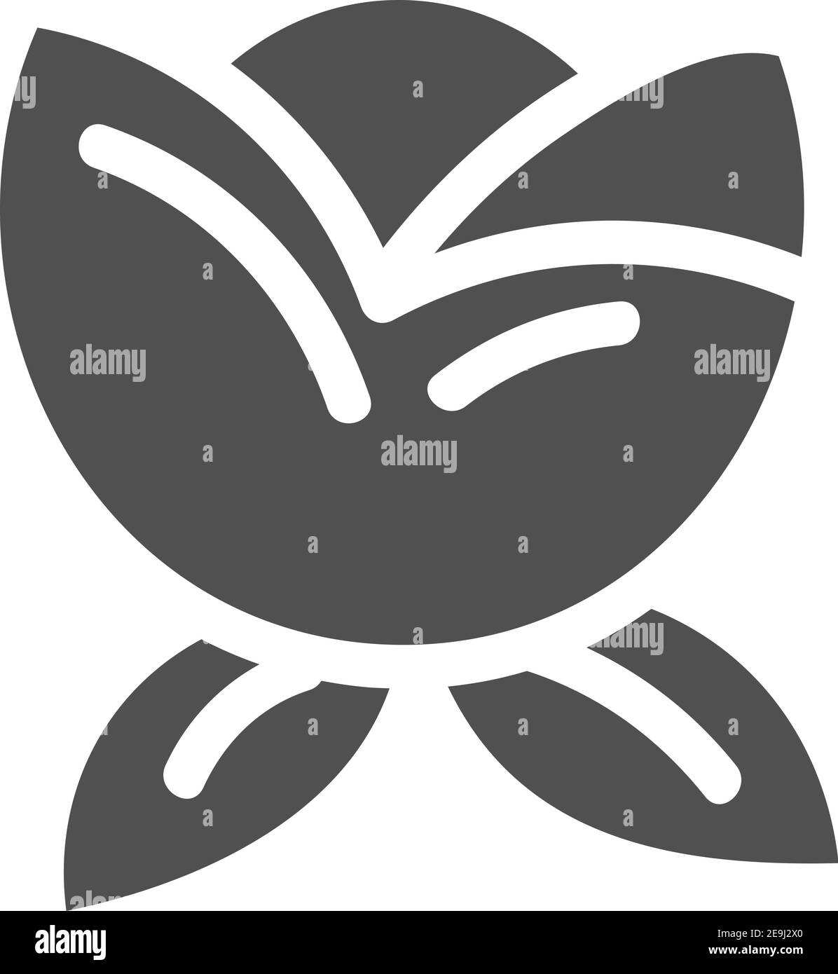 Grey flower with a very unique shape, illustration, vector on white ...