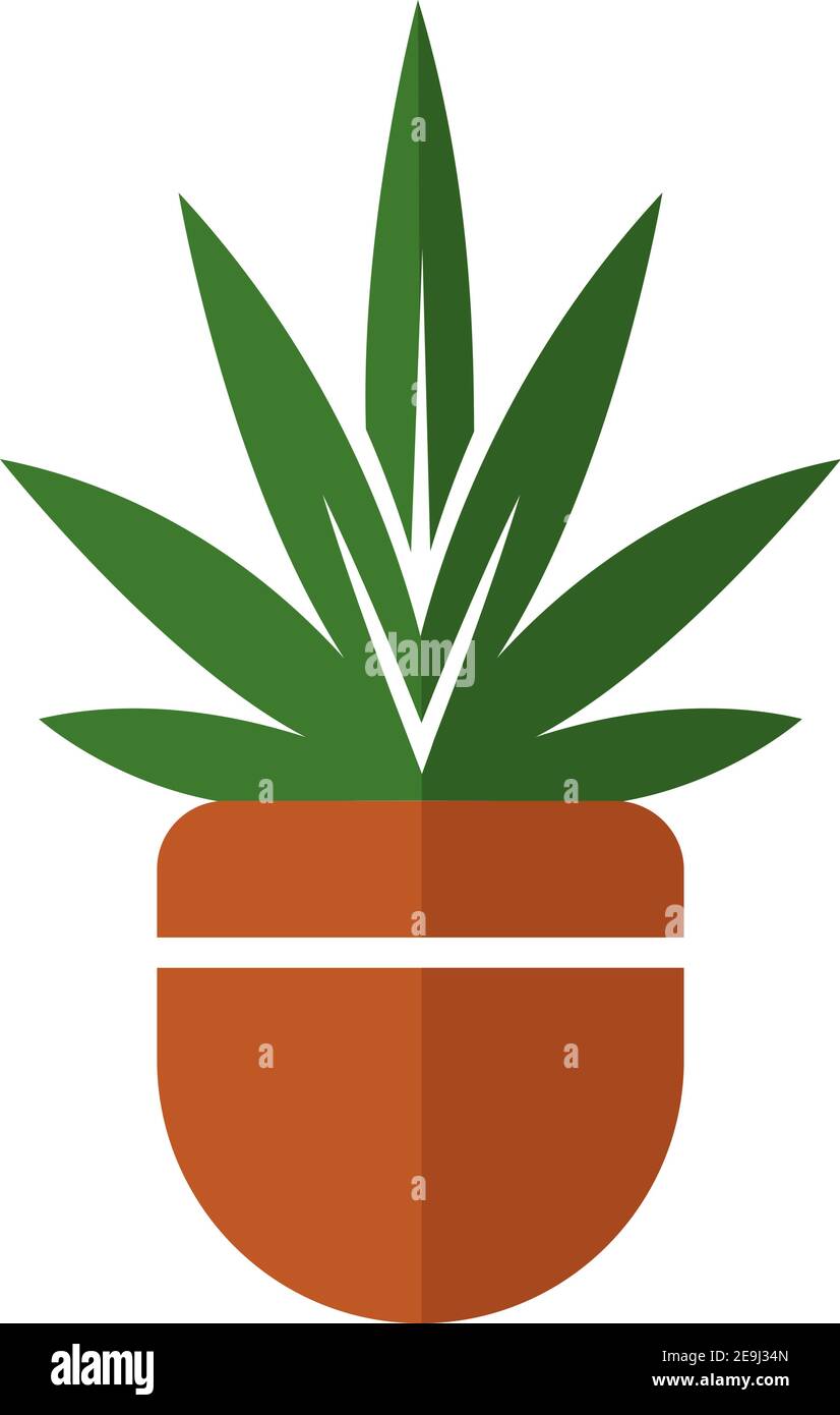 Baby palm in a pot, illustration, vector on white background Stock ...