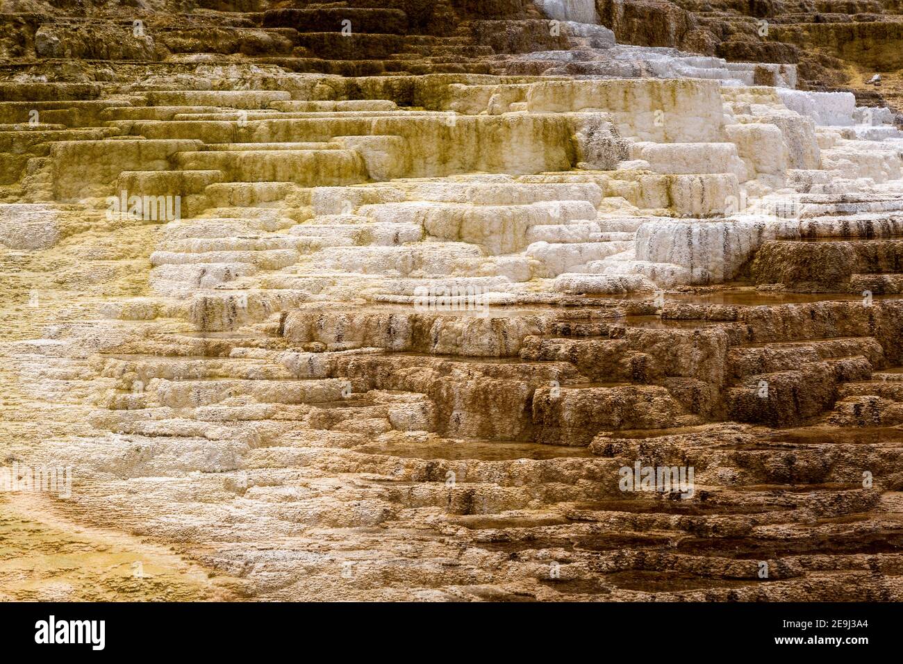 An abstract pattern snaking through travertine pools along Mound ...